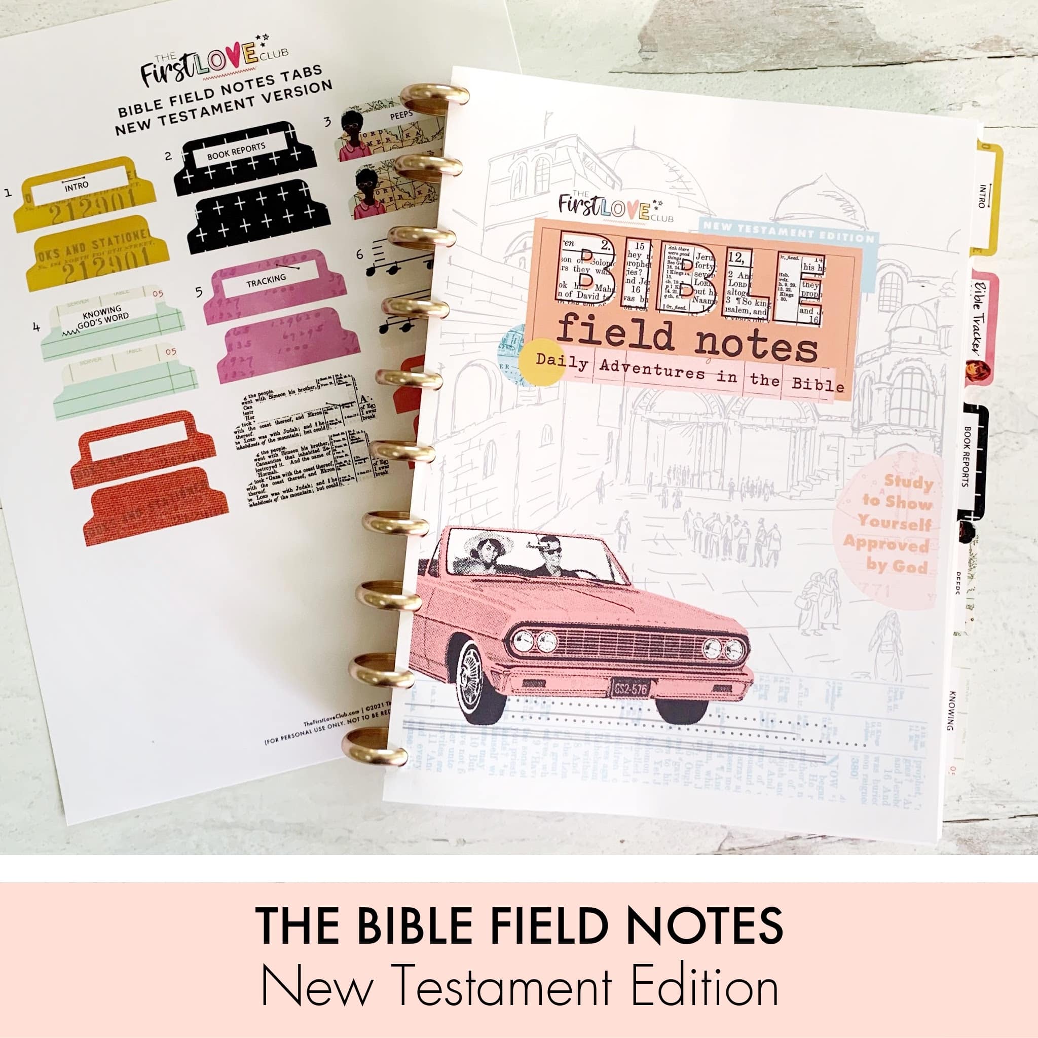 Bible Field Notes - The Reset Girl